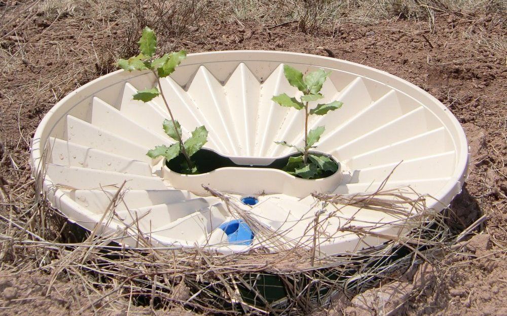 Waterboxx legt jonge plantjes in de watten