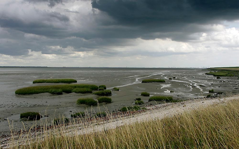 Vlek door lozing rioolwater Westerschelde