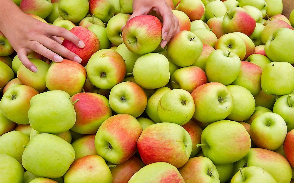 Meer appels en peren