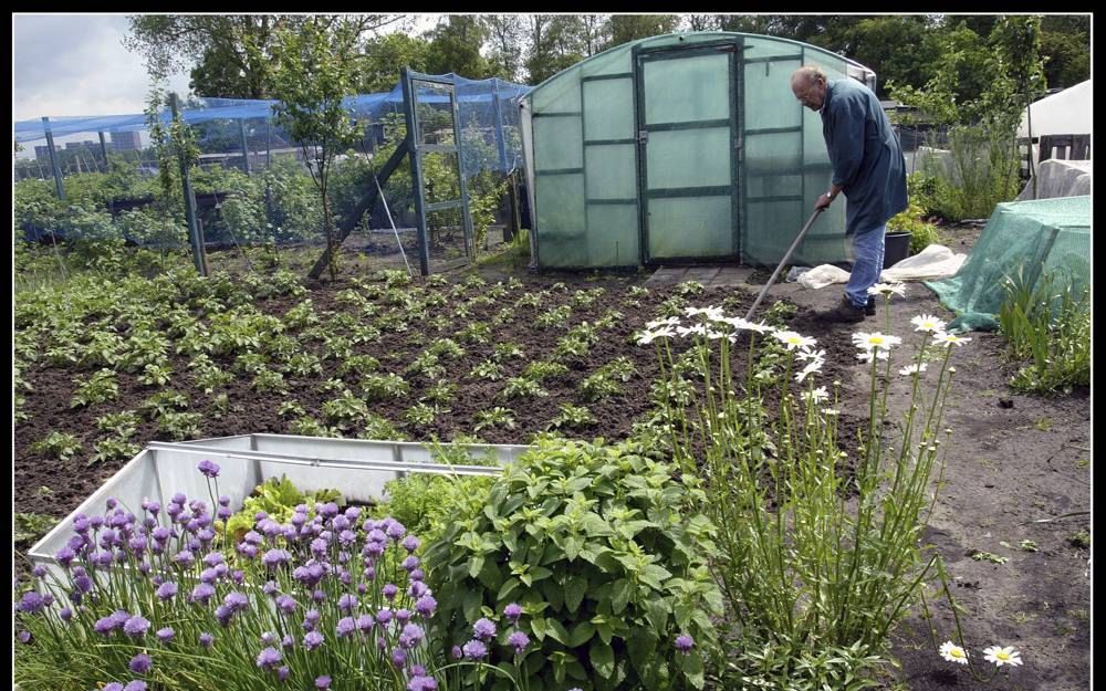 Bloemen- en groentetuin ineen is populair