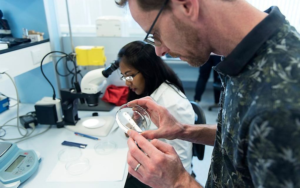 Wageningen opnieuw beste universiteit