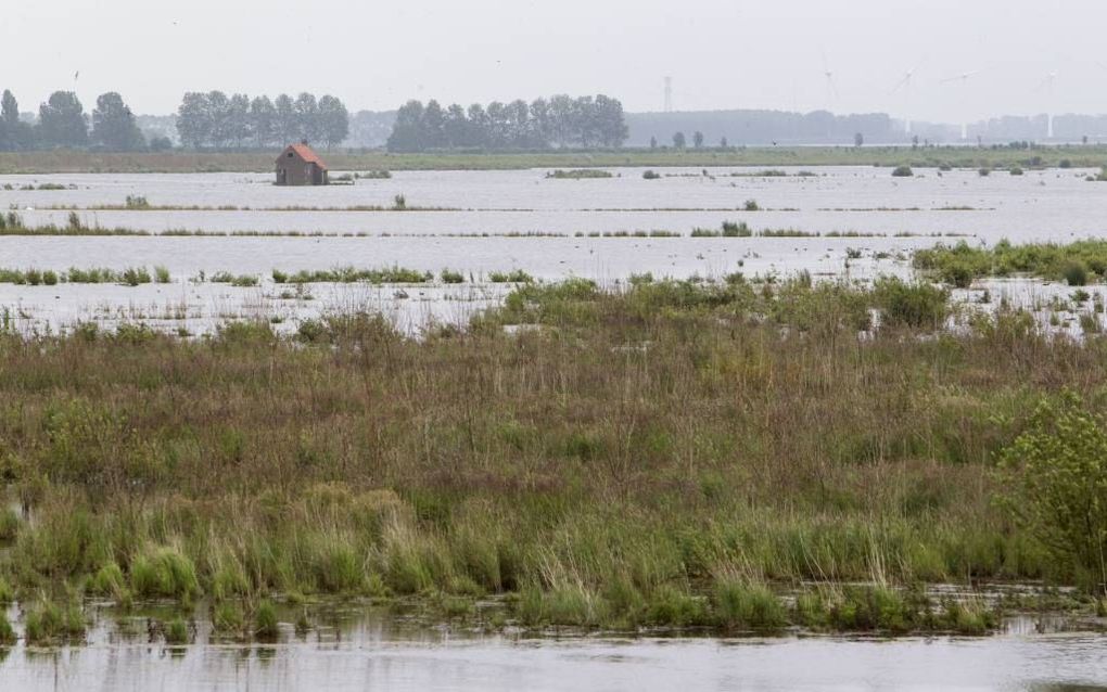 Ruigte en weidsheid bepalen het landschap op Tiengemeten