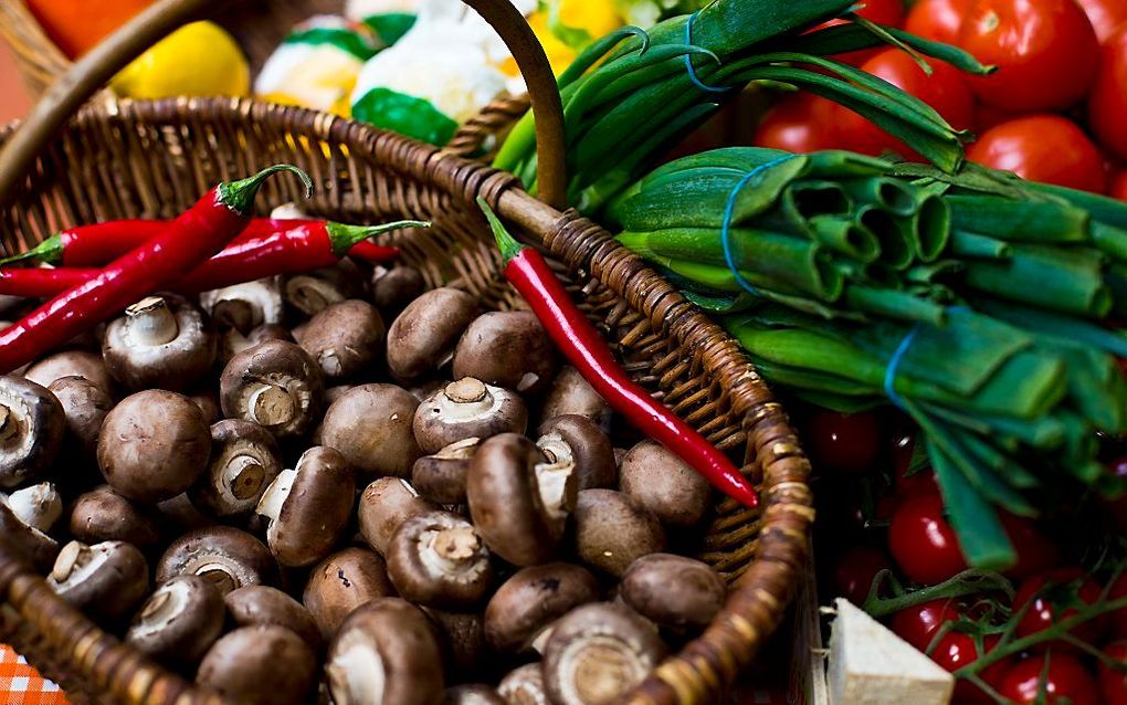Van afval Amsterdam kan kleine stad eten
