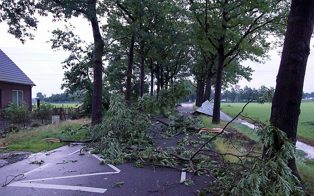 KNMI trekt code rood voor Limburg in