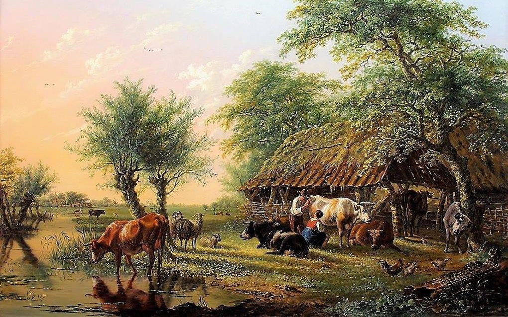Was de vroegere veehouderij zo veel diervriendelijker?