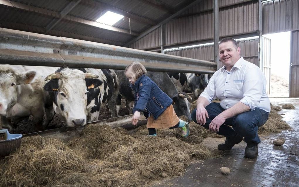 Genieten van een mooie dikbilkoe