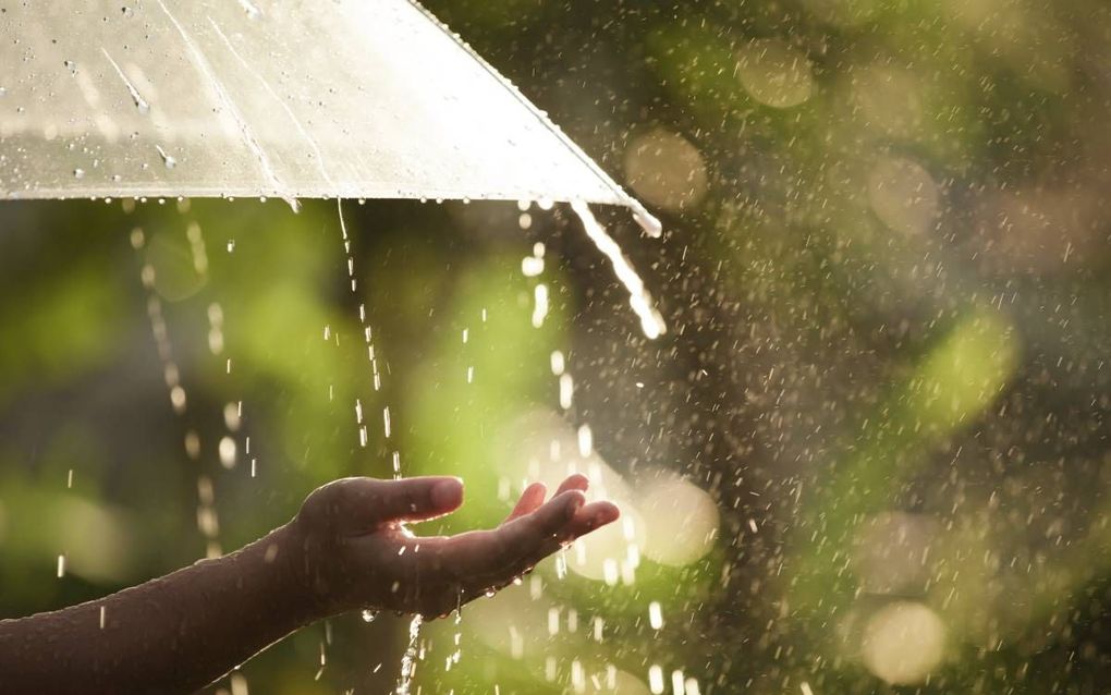 Ook van motregen word je nat