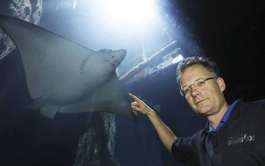 Koraal gaat aan de wandel door klimaatverandering