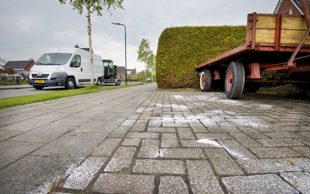 Zout beter voor onkruidbestrijding dan azijn Zout beter voor onkruidbestrijding dan azijn