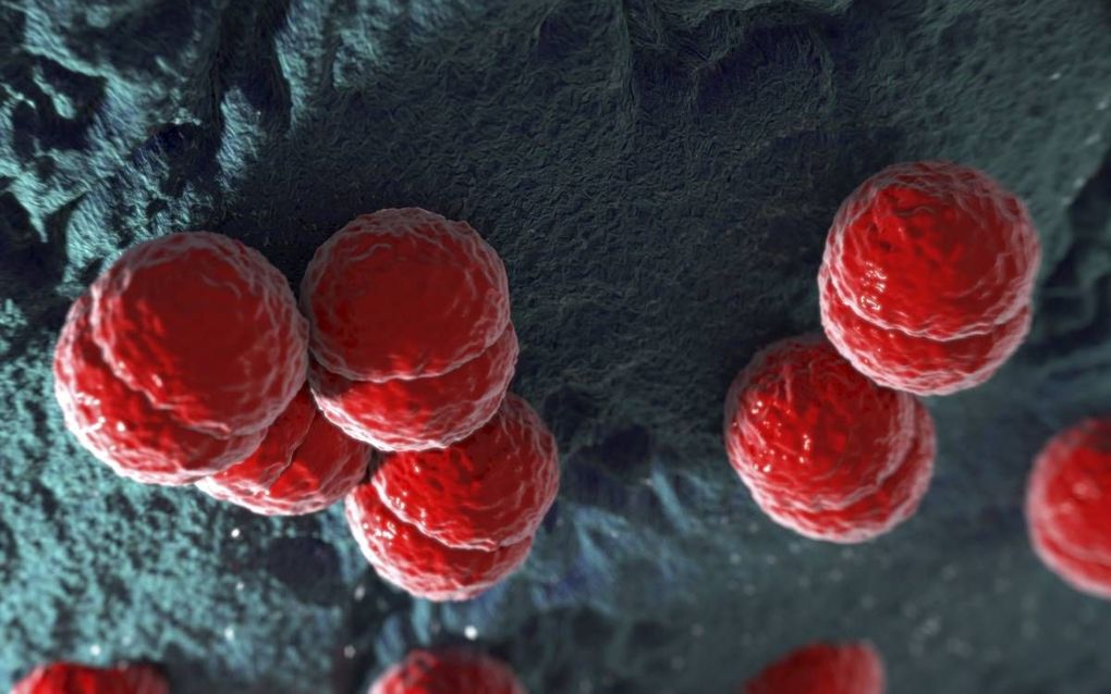 Diagnose infectie met meningokok W lastig