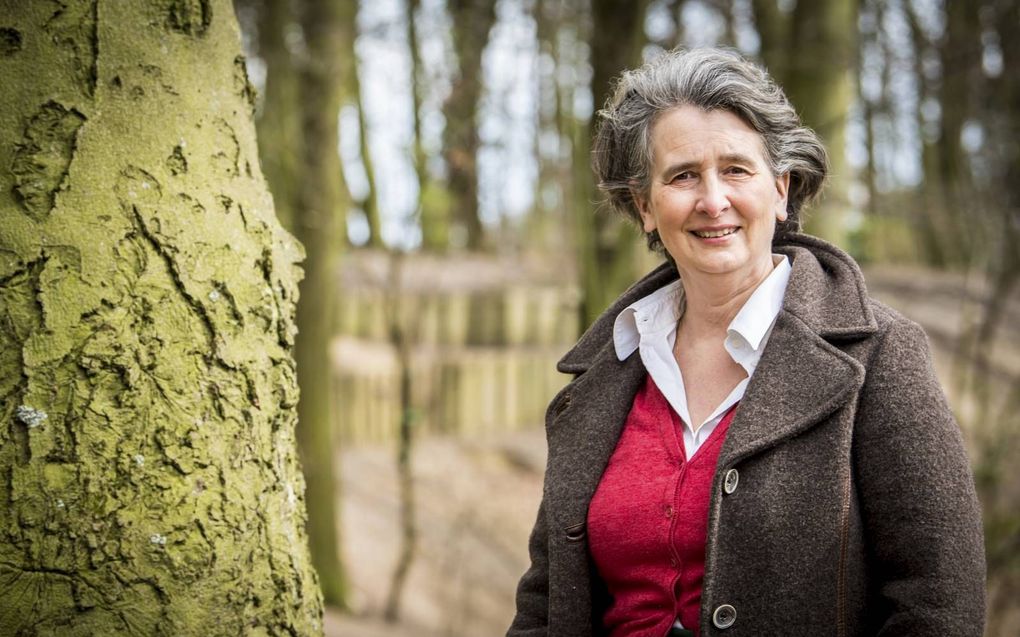Marguerite Peeters: Hoe liefde uit de samenleving verdween