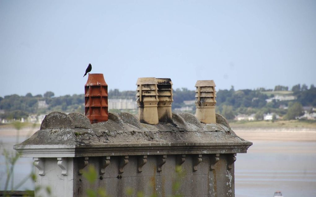 Schoonheid: Batavieren