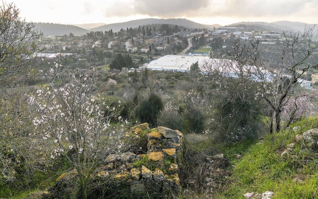 Lofprijzing in een Israëlische kibboets