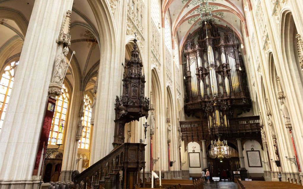 Kathedralen- en basiliekendag