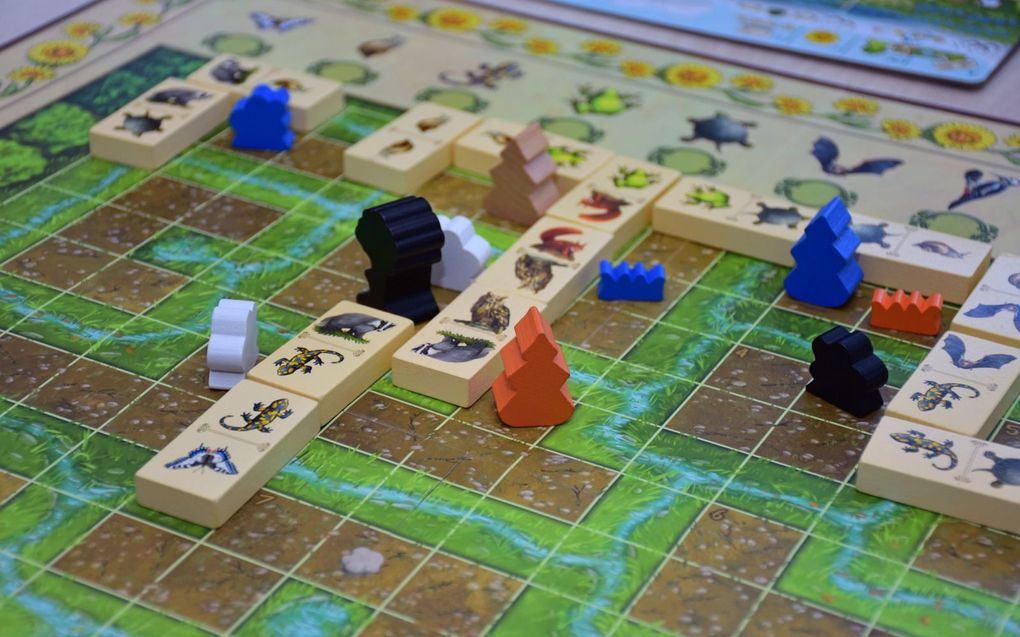 Test duurzame spellen: Planten en bouwen met hout en karton