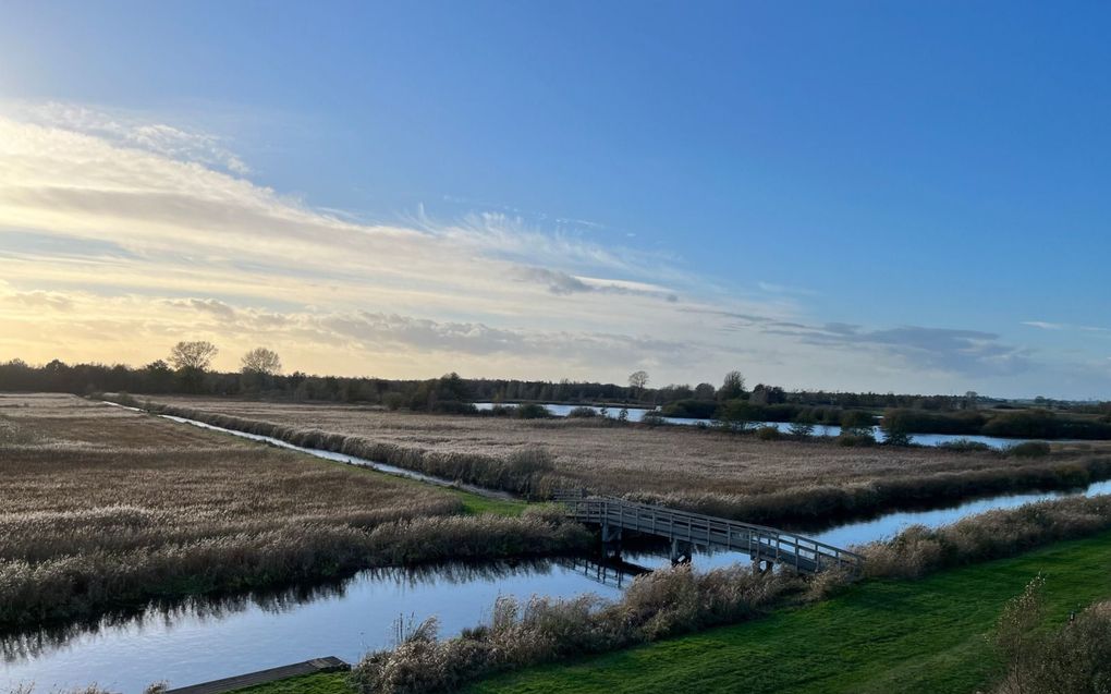 De wandeling: Soppen door Friese weilanden