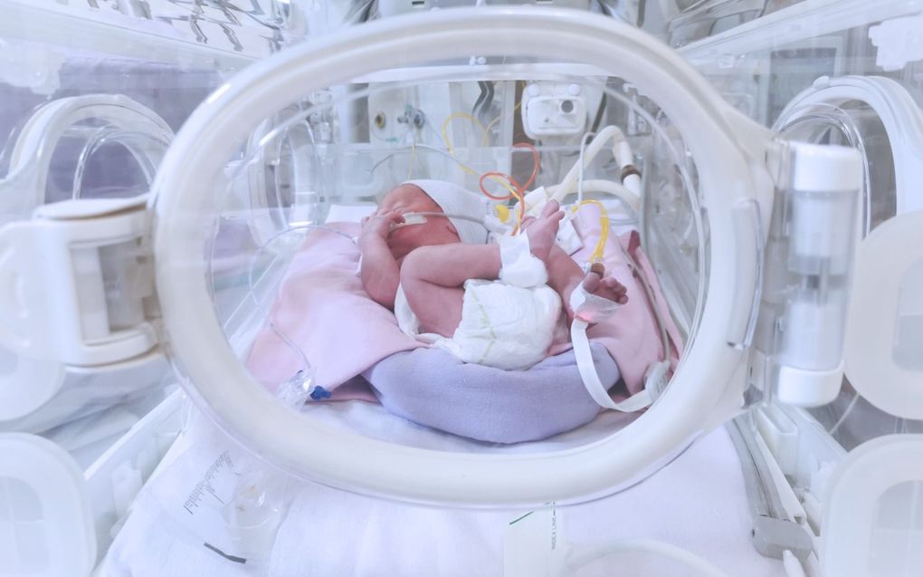 Minder herrie, betere start voor baby in couveuse