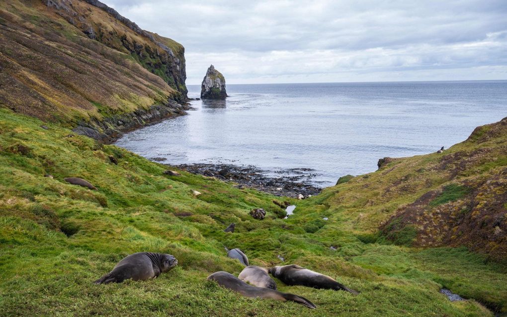VN-landen eens over overeenkomst voor bescherming oceanen