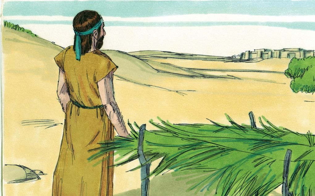 Bijbelboek Jona is non-fictie