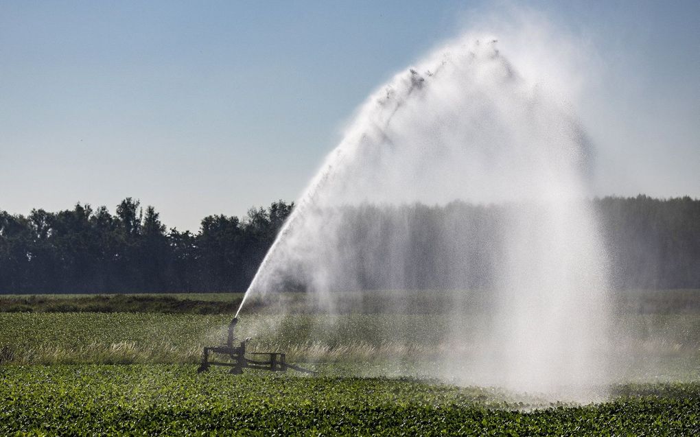 Eerst veel regen, nu droogte, hitte en veel wind: aardappel- en ...