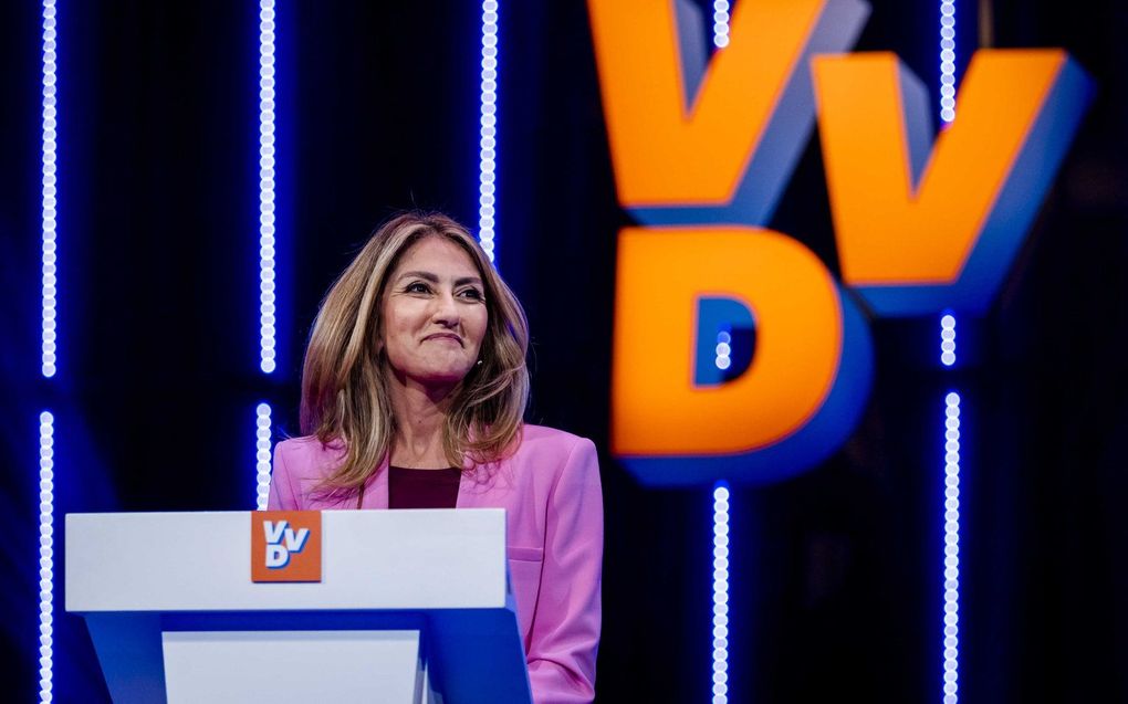 VVD nipt de grootste in nieuwe I&O peiling