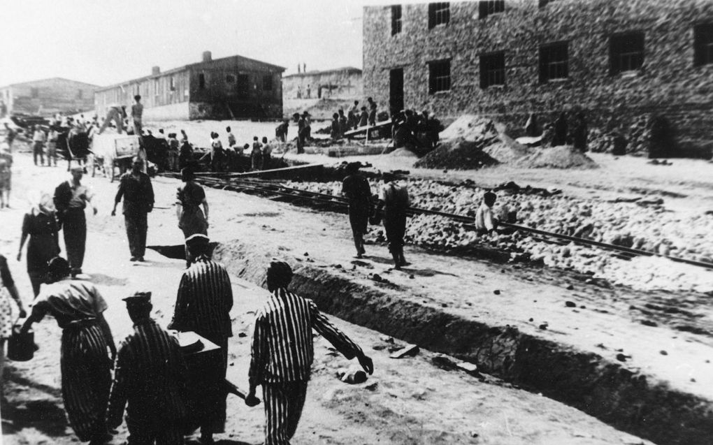 Kampoverlevende Josef Lewkowicz zoekt gerechtigheid