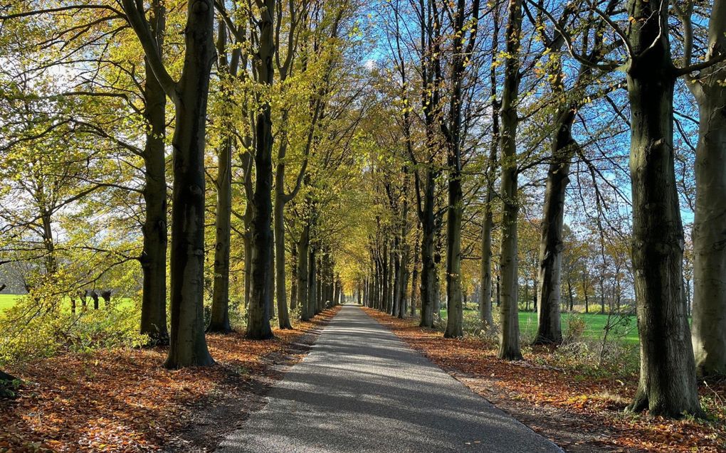 Wandelen in het voetspoor van Gerrit Achterberg