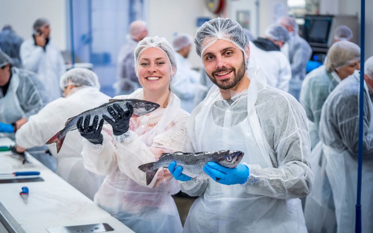 Vis fileren kun je leren