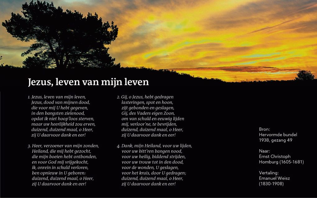 Lied voor de lijdenstijd: verblijden vanwege diepste lijden