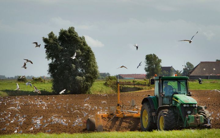 Dankdag van gewas en arbeid | nieuws en achtergronden van het RD