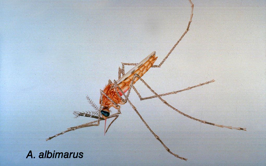 Stoffen tegen malaria