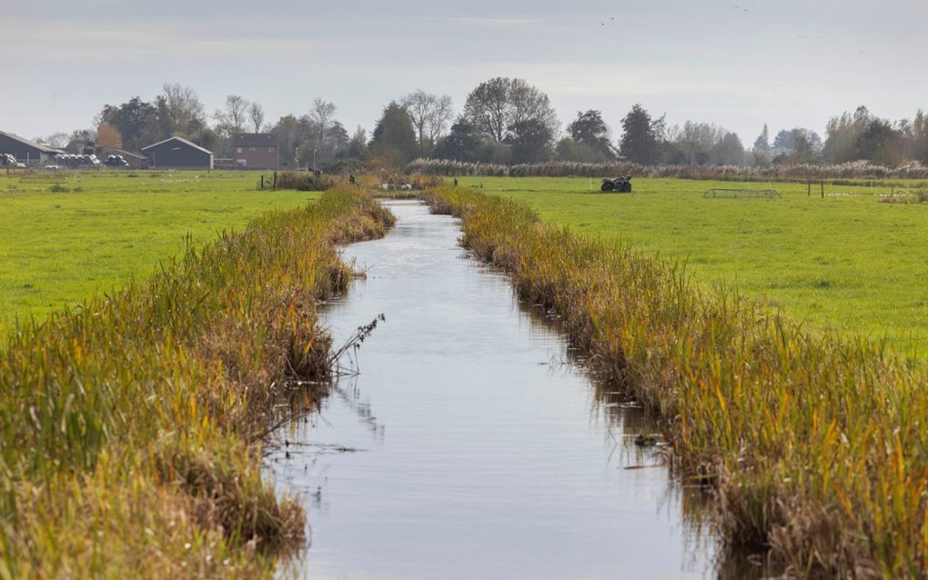 Op proefboerderij in Zegveld experimenteren onderzoekers met boeren op ...