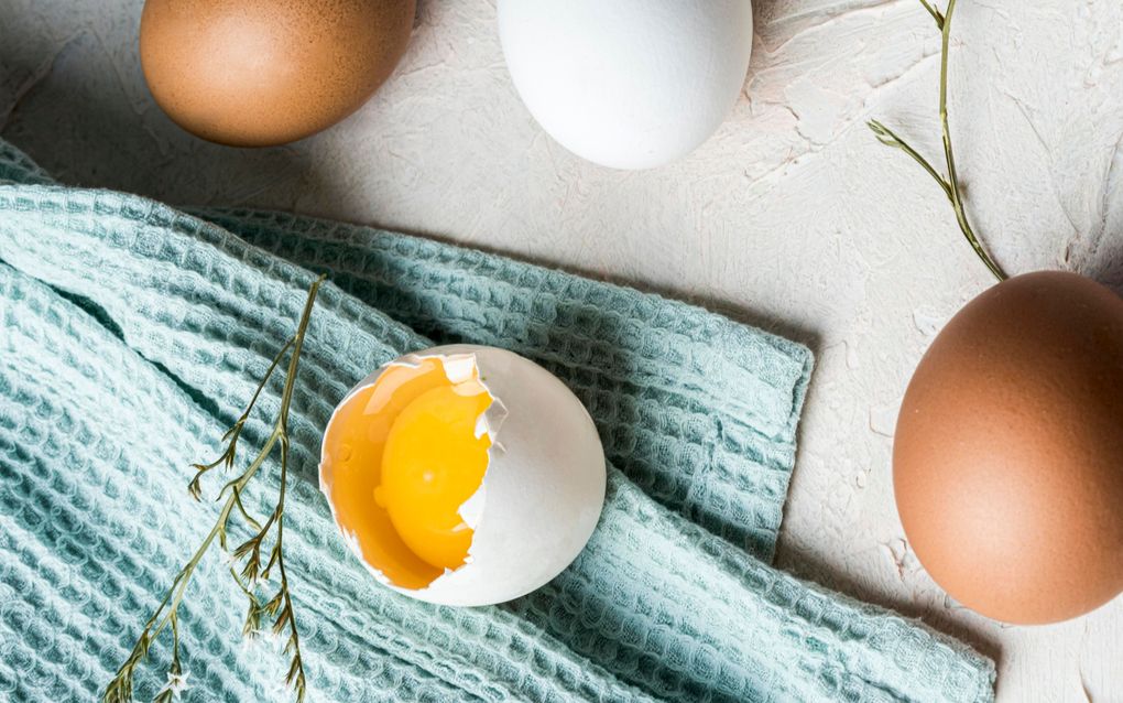Onderzoekers: eten met veel eiwit is slecht voor ic-patiënt