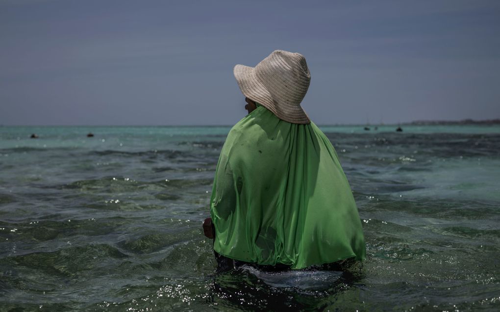Week 46 in beeld: Koeweit, Rome en Zanzibar