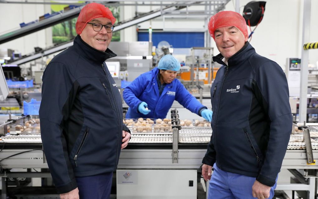 Banken laat zijn champignons binnenkort plukken door robots