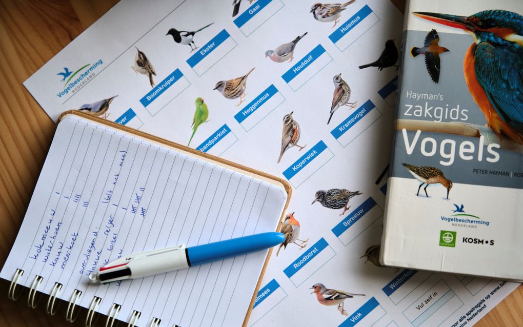 Tsjilpen, turen en turven: „Vogels tellen is geen wedstrijd”