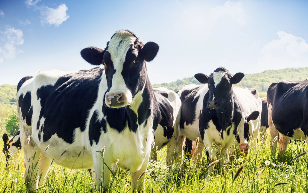 Tjeerd de Groot ziet toekomst voor de Nederlandse landbouw