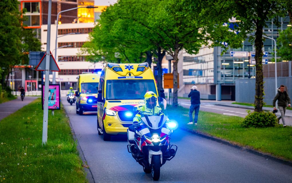 Het hantavirus houdt Nederland in zijn greep. Dreigt een nieuwe pandemie?