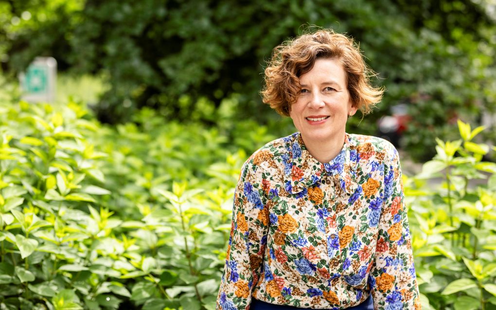 Hoogleraar wil huis van de stemming stutten