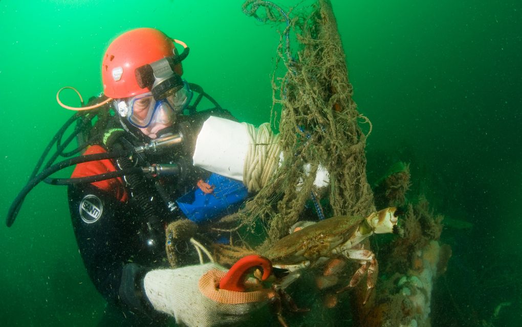 Schoonmaak op de zeebodem