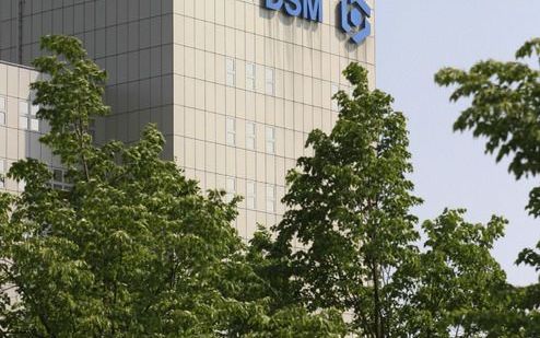 DSM: 350 ontslagen in Nederland
