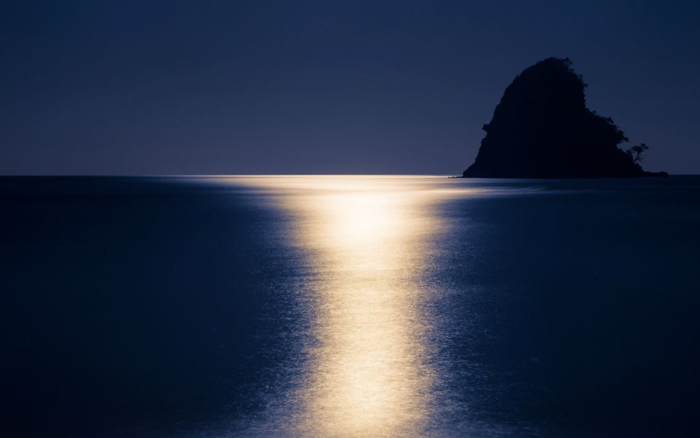 Jodocus van Lodenstein: Leven, lieven en loven in de gevangenis