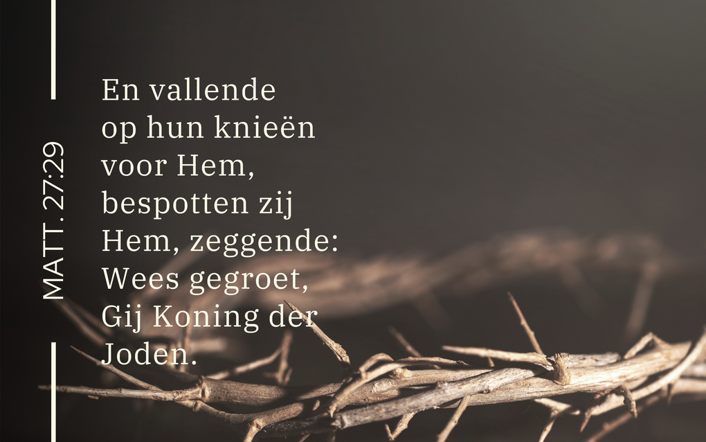 Meditatie: Vertroosting in Zijn bijzondere wonden