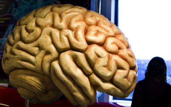 Hersenhelften reageren op vorm en plaats