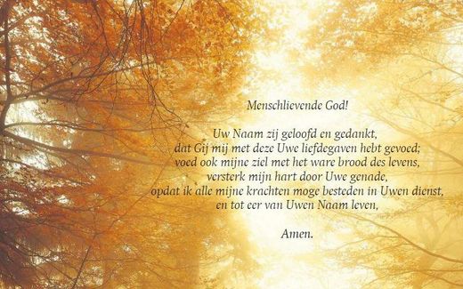 Dankdag van gewas en arbeid | nieuws en achtergronden van het RD