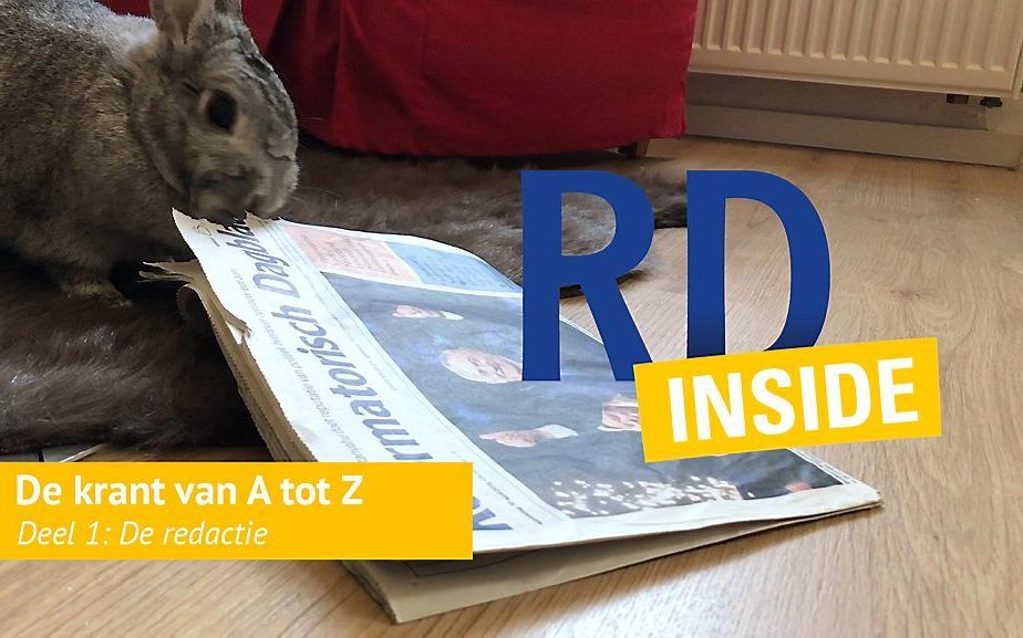 RDInside #13 - De krant van A tot Z: de redactie