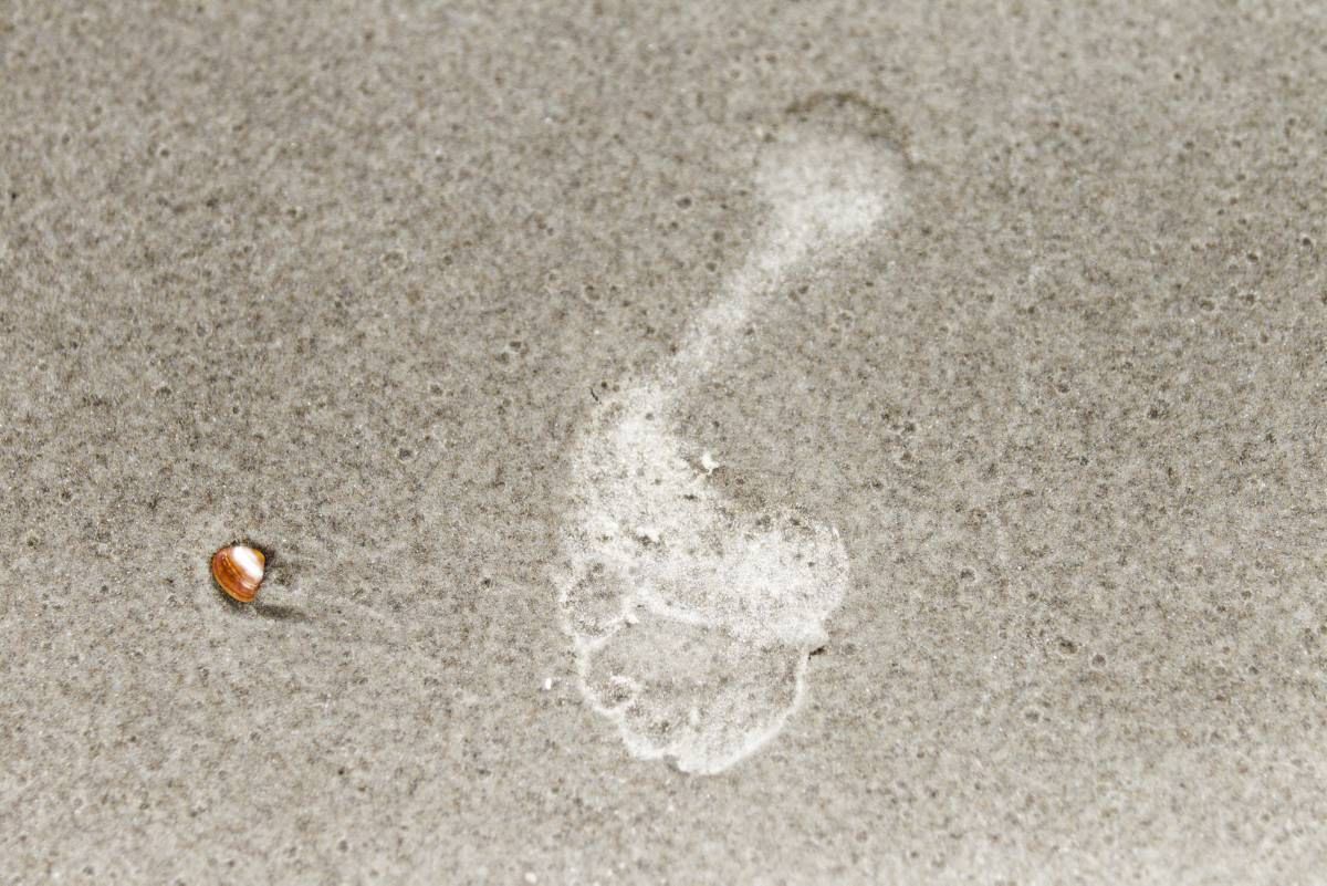 1 triljard korrels op Texel