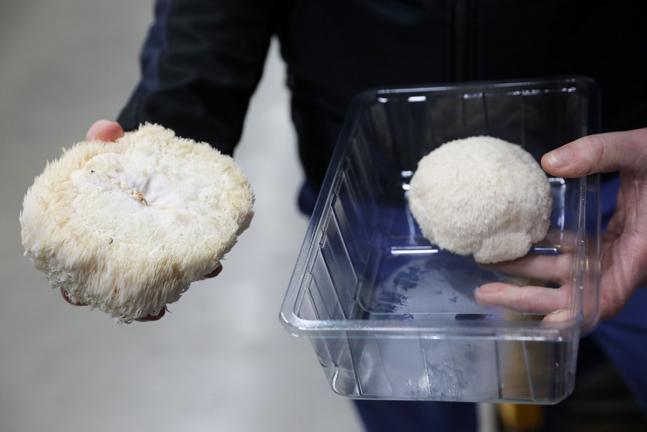 Banken laat zijn champignons binnenkort plukken door robots