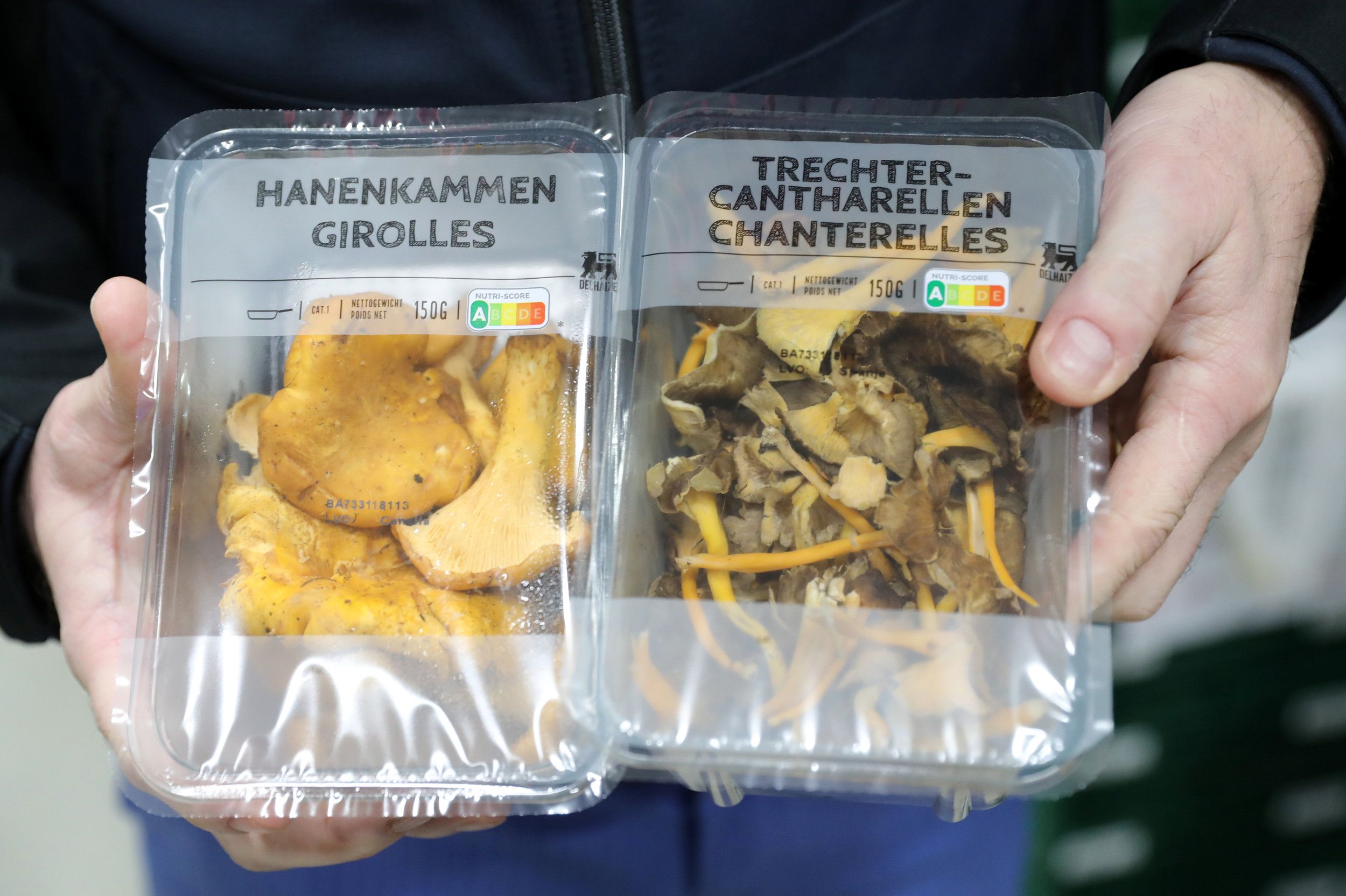 Banken laat zijn champignons binnenkort plukken door robots