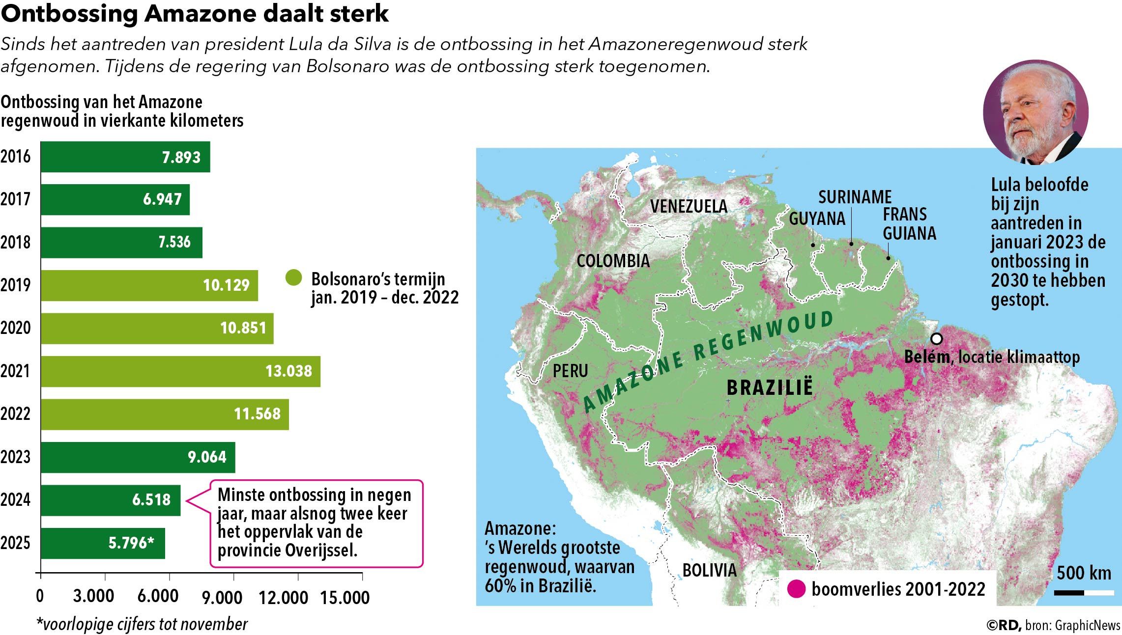 Diverse stappen op klimaattop naar betere bescherming regenwoud